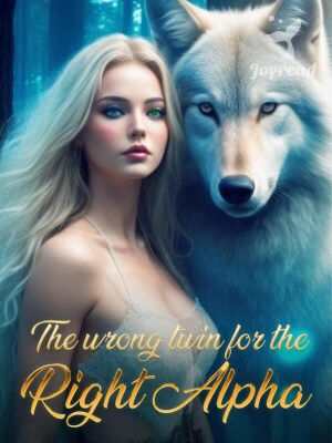 Chapter 9 - The Transformation,The Wrong Twin For The Right Alpha @ Joyread