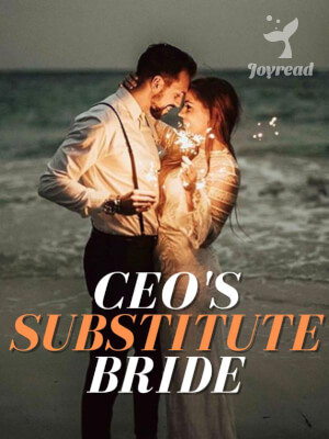 CEO's Substitute Bride Novel Read Online, by Winter Love - Read Romance ...